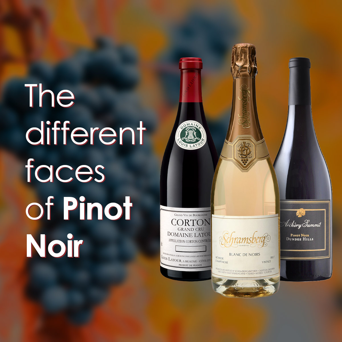 The different faces of Pinot Noir | La Boutique Du Vin